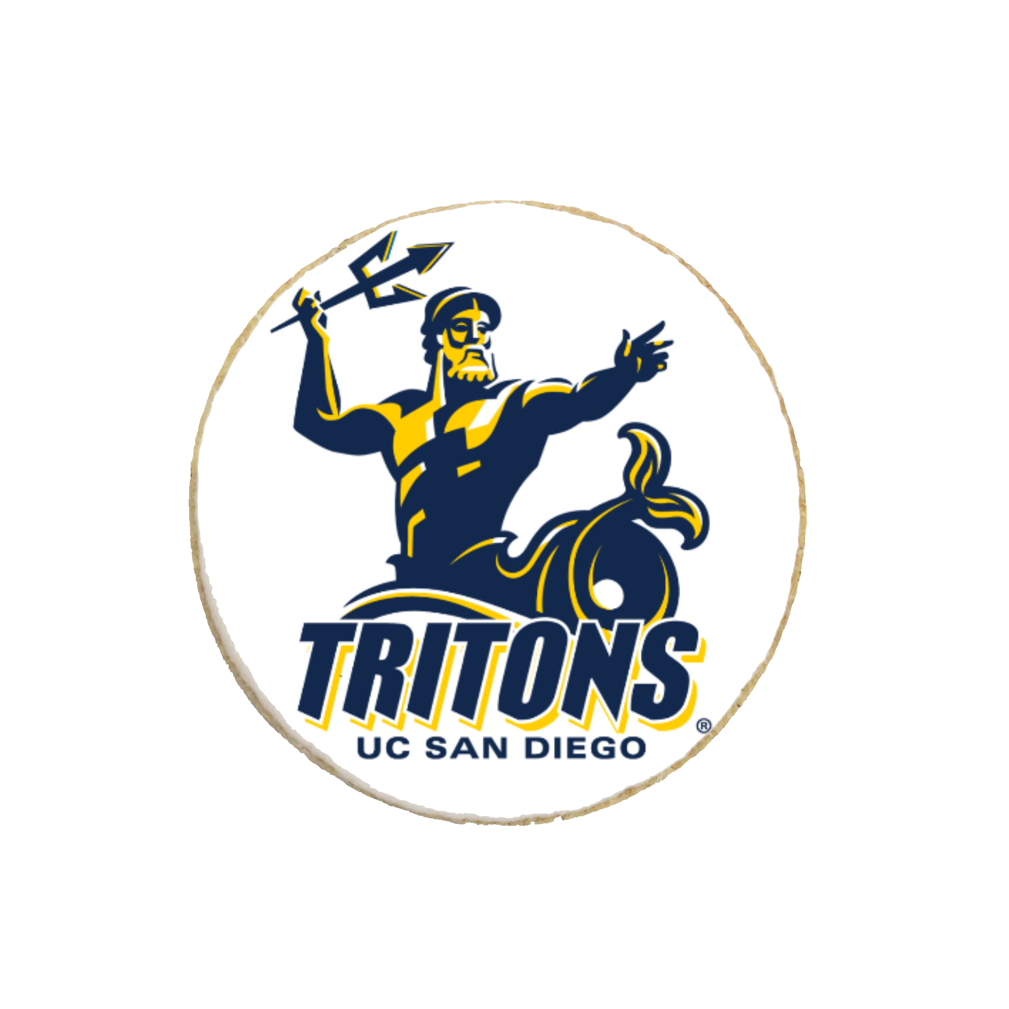 UC San Diego Graduation Cookies – ModernBiteLA